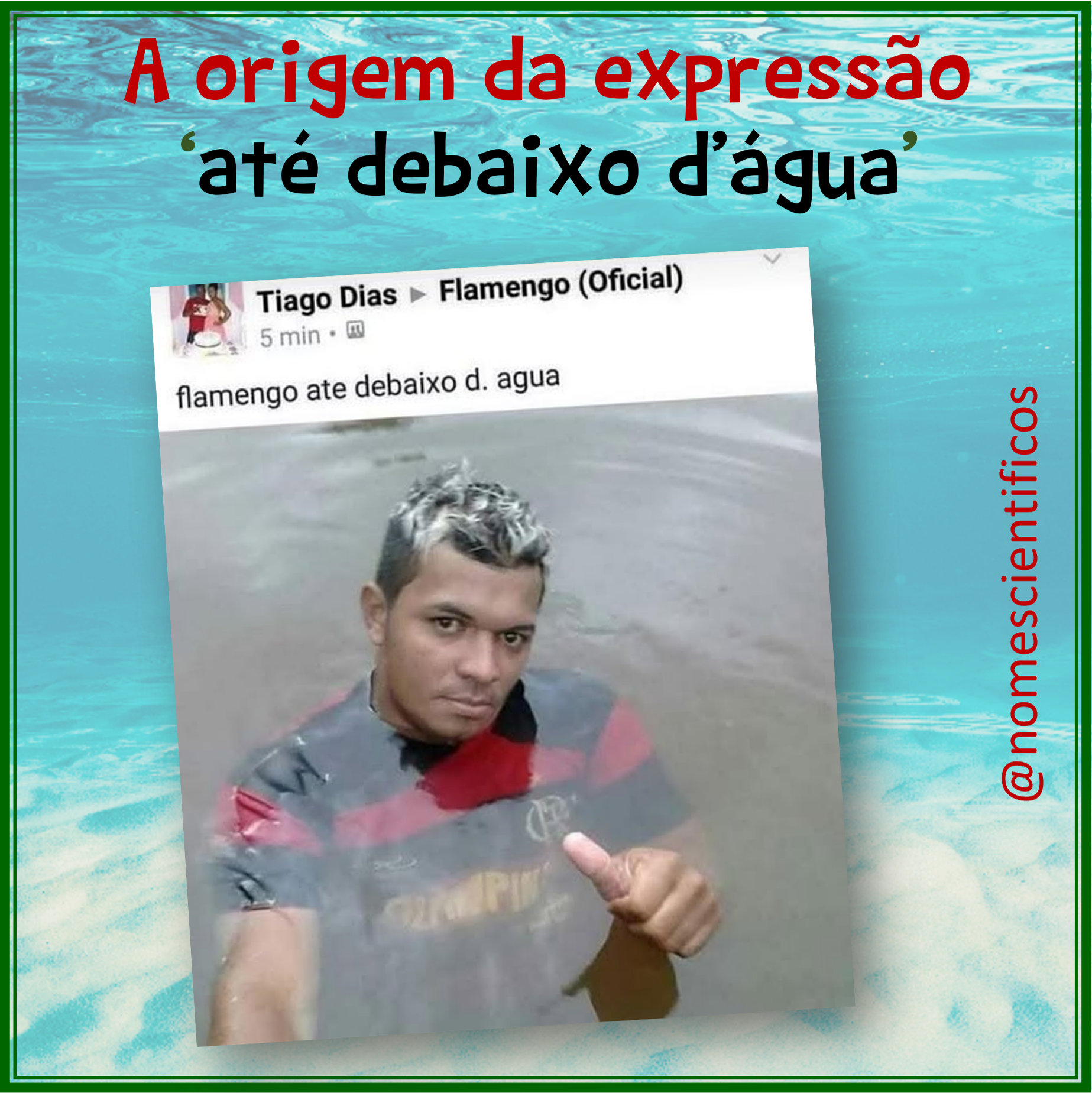 A origem da expressão ‘até debaixo d’água’ – Nomes Científicos